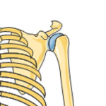 Shoulder bursitis – diagnosis and management – GP Voice