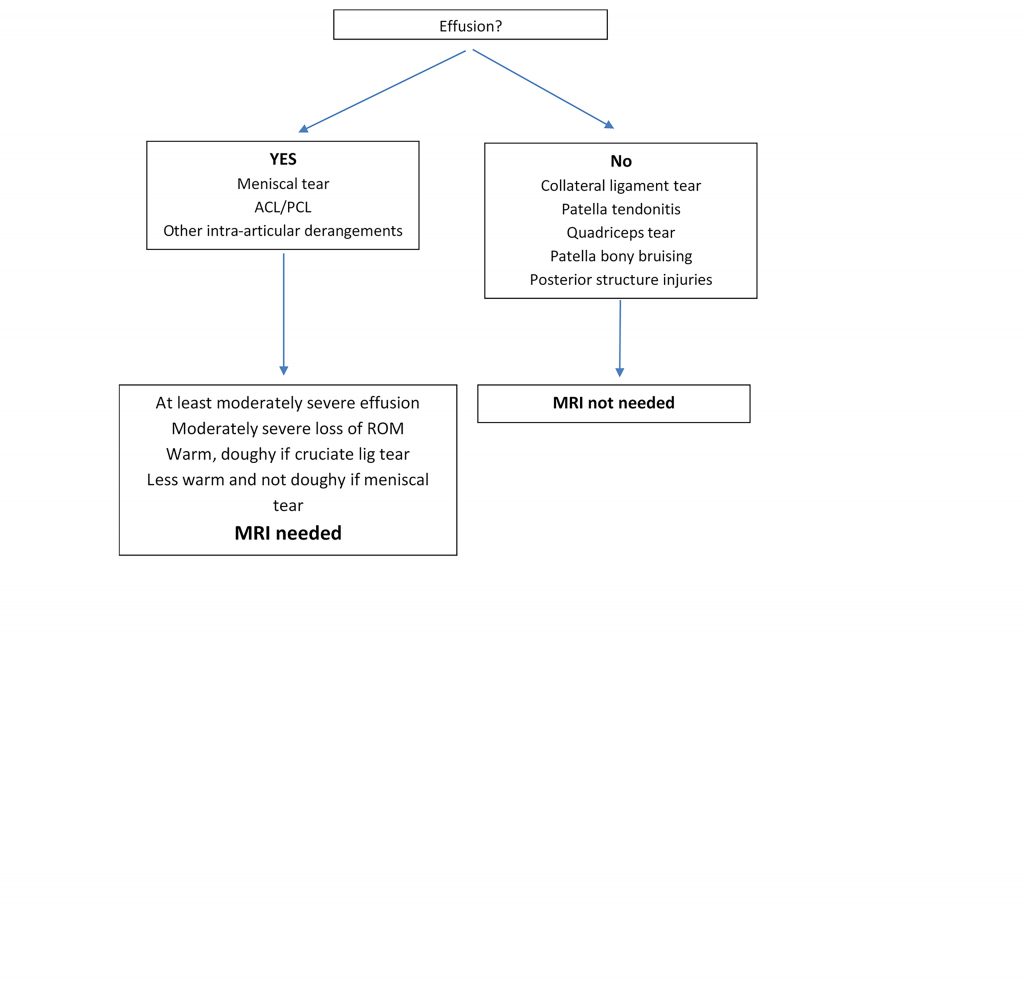 Knee injury Algorithm – GP Voice