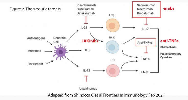 Auto-immune arthropathy – understanding the IL-23/IL-17 pathway – GP Voice