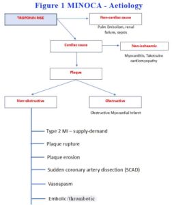 MINOCA – an increasing cause of MI – GP Voice