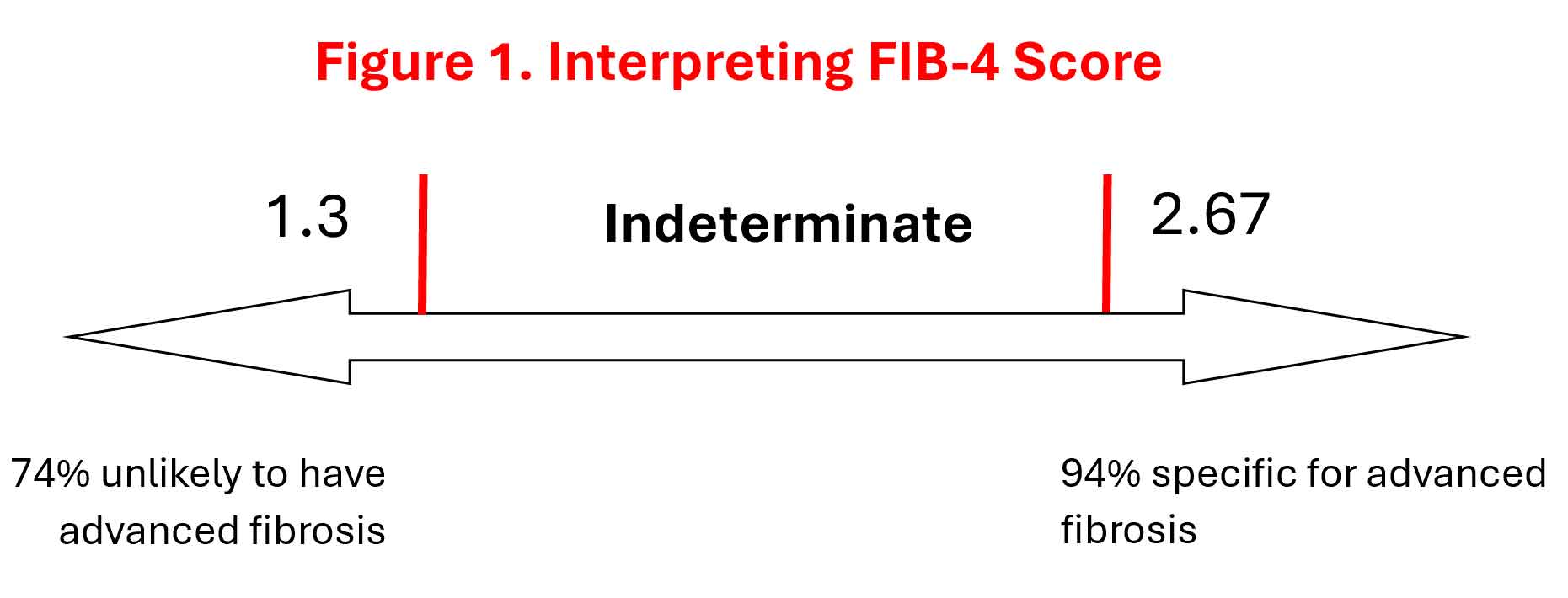 MAFLD – how to safely monitor in primary care – GP Voice