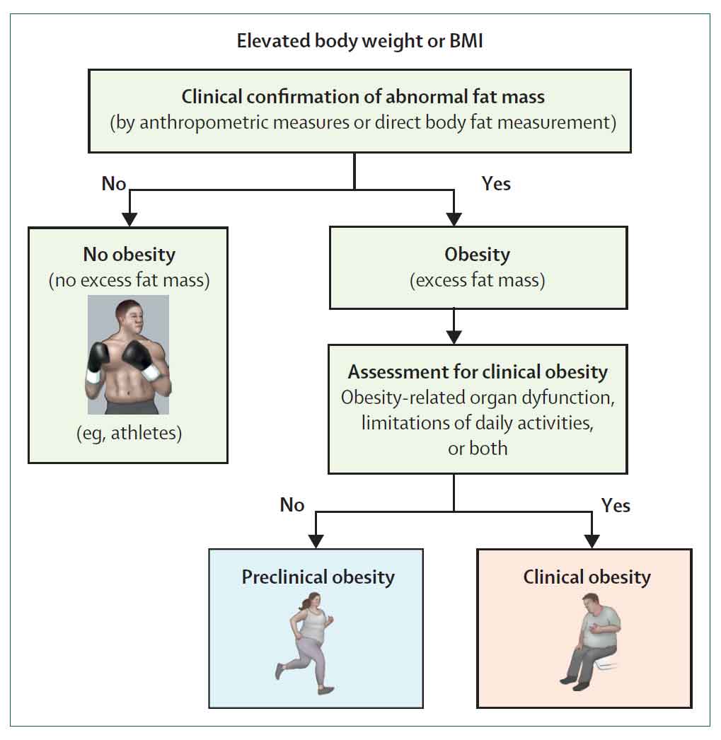 Lancet Commission – what is clinical and preclinical obesity? – GP Voice